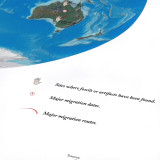 The Human Migration Chart | ETC Montessori