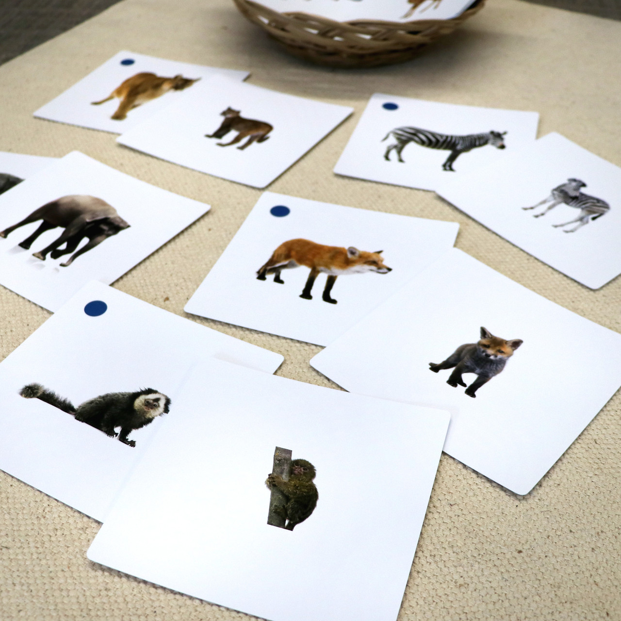Wild Animals and Their Young Matching Cards | Toddler | ETC Montessori