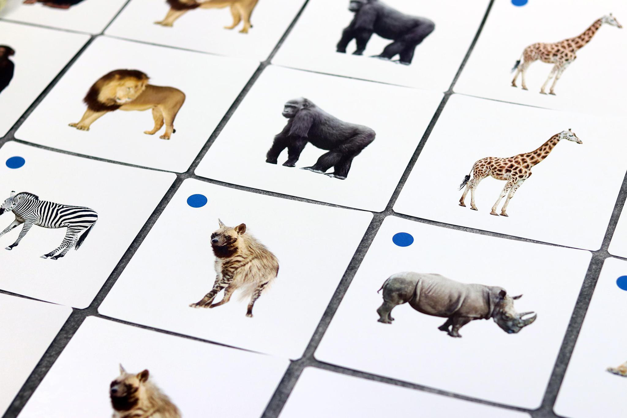 African Animal Matching Cards | Toddler | ETC Montessori