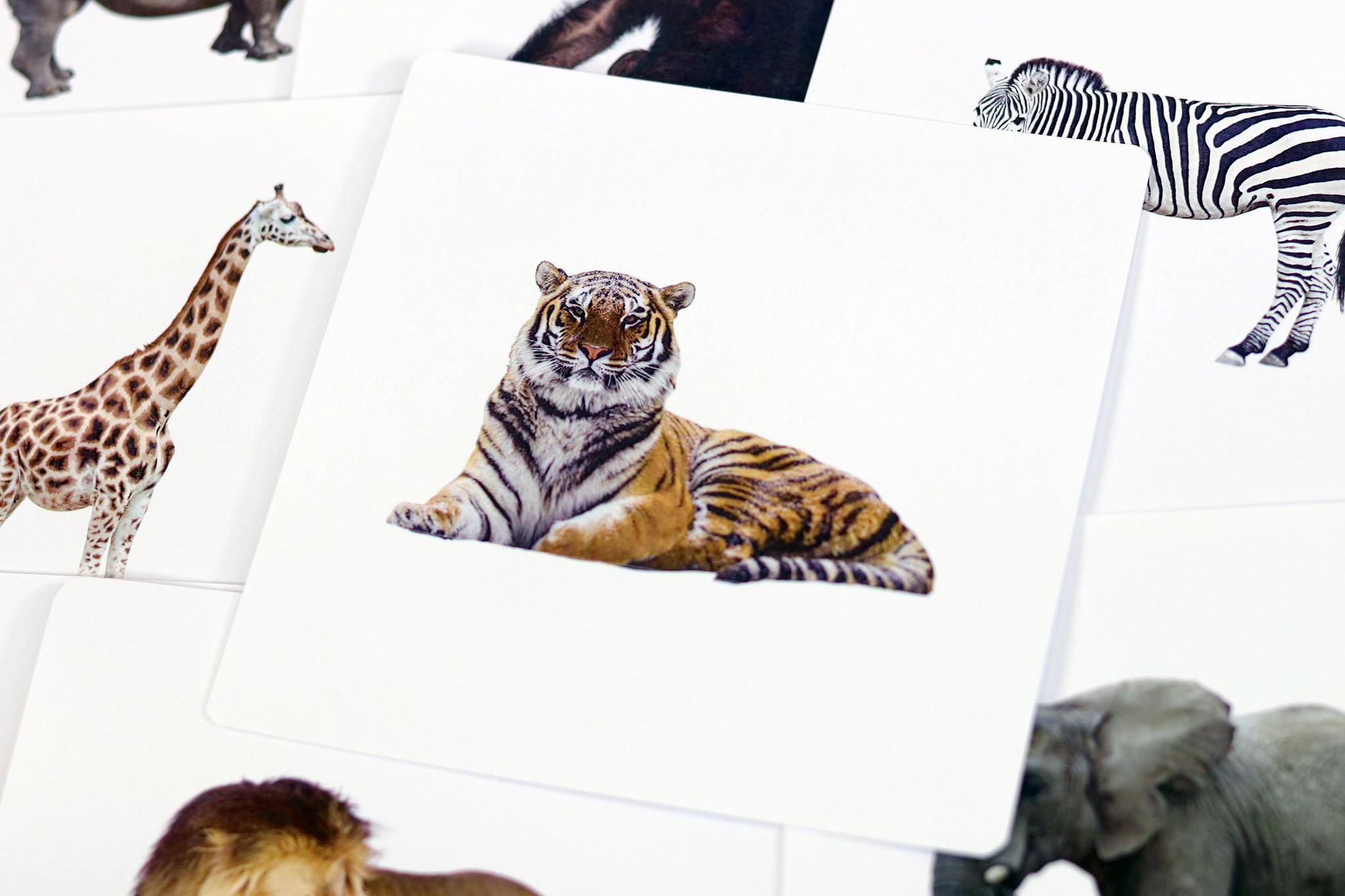 African Animal Matching Cards | Toddler | ETC Montessori