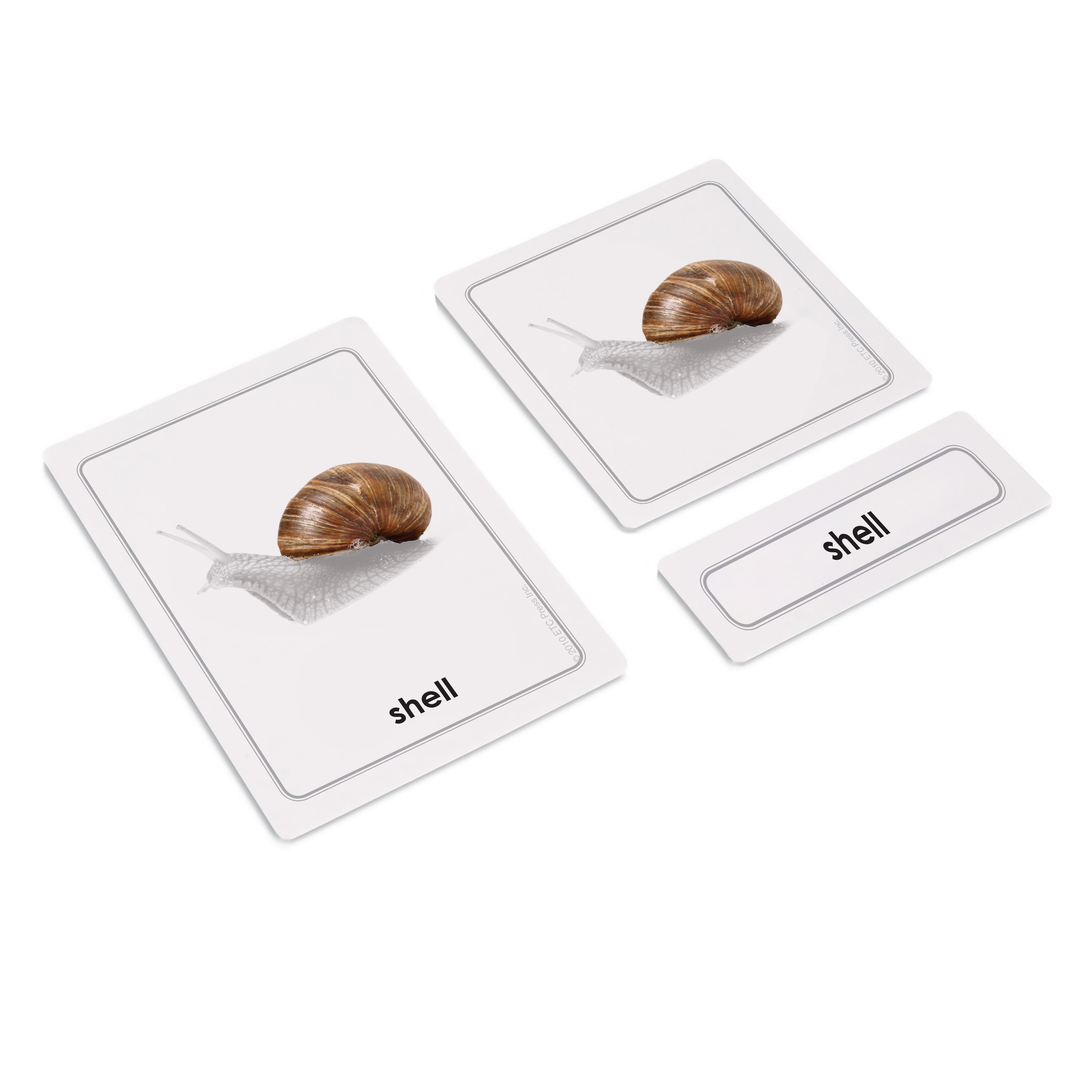 Parts of Invertebrates Bundle | ETC Montessori