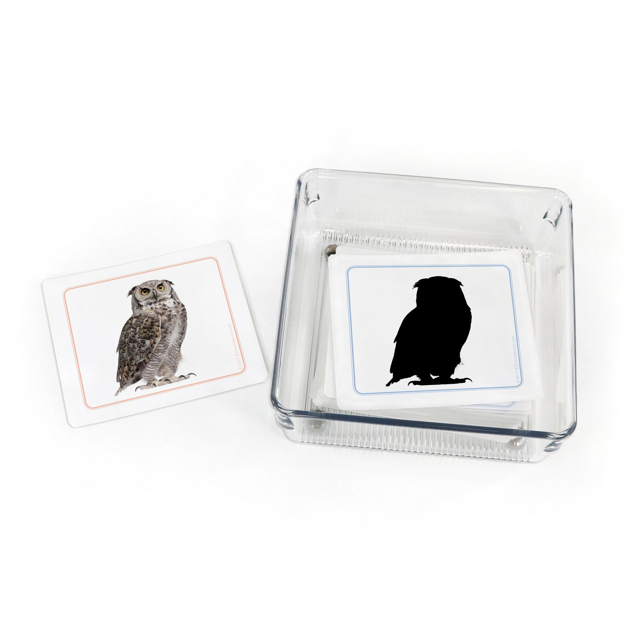 Birds Silhouettes - Matching Cards - ETC Montessori Online