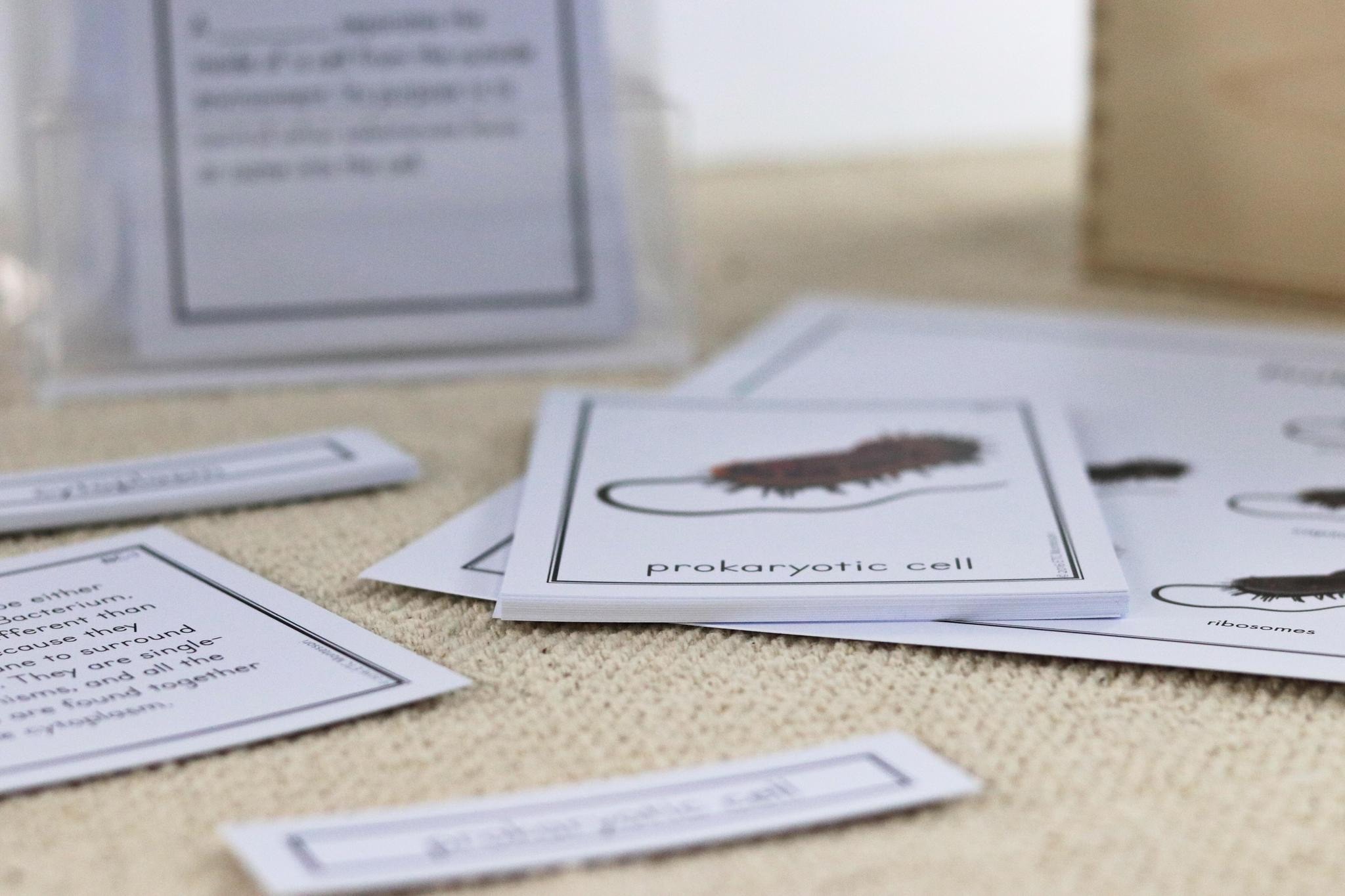 Prokaryotic Cell Nomenclature - ETC Montessori Online