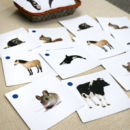 Mammals Matching Cards | Toddler | ETC Montessori