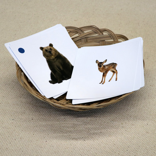 Wild Animals and Their Young Matching Cards | Toddler | ETC Montessori