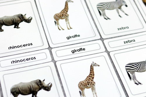 African Animals 3 Part Cards - ETC Montessori Online