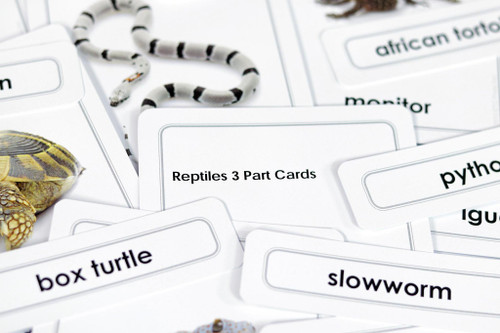 Reptiles 3 Part Cards - ETC Montessori Online