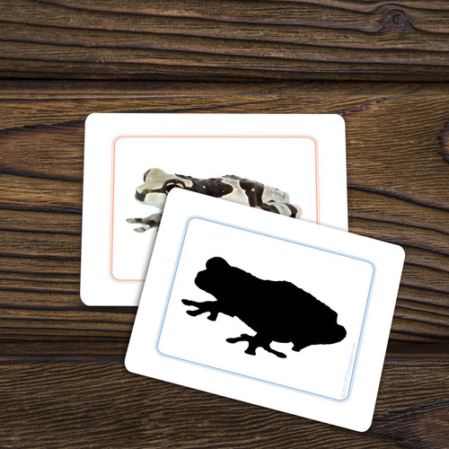 Amphibians Silhouettes - Matching Cards - ETC Montessori Online