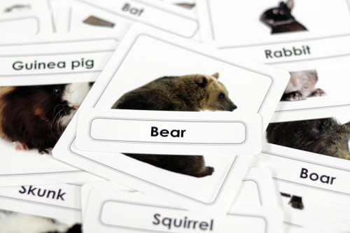Mammals 3 Part Cards - ETC Montessori Online