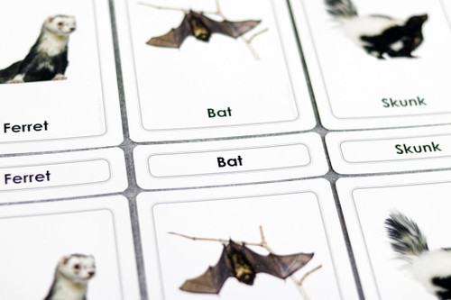 Mammals 3 Part Cards - ETC Montessori Online