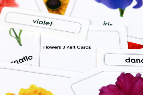Flowers 3 Part Cards - ETC Montessori Online
