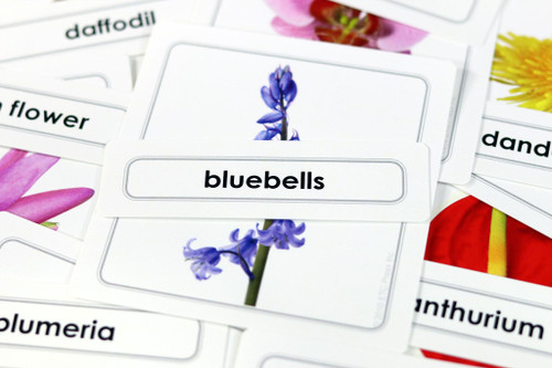 Flowers 3 Part Cards - ETC Montessori Online