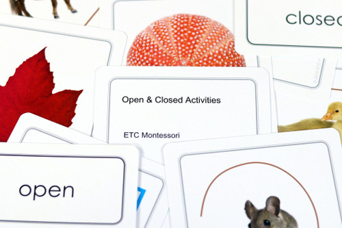 Open and Closed Figures - ETC Montessori Online