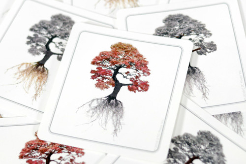 Parts of a Tree 3 Part Cards - ETC Montessori Online