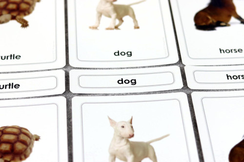 Pets 3 Part Cards - ETC Montessori Online
