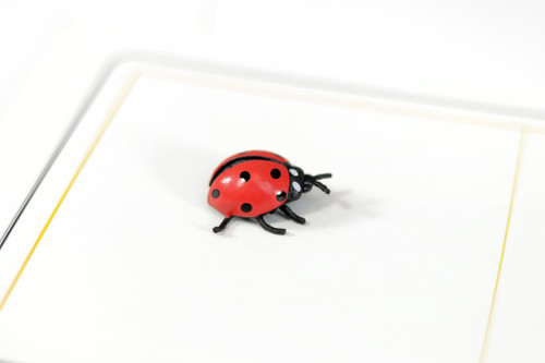 Rhyming Activities with Objects - ETC Montessori Online