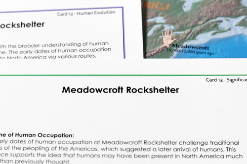 The Human Migration Story | ETC Montessori