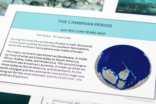 Timeline of Life Research Cards - Homeschool Edition | ETC Montessori