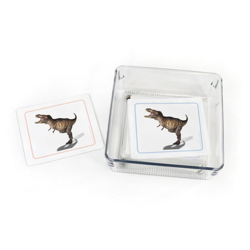Dinosaurs Matching Cards - Digital Printable | ETC Montessori