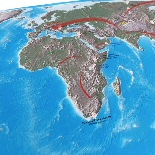 The Human Migration Chart | ETC Montessori