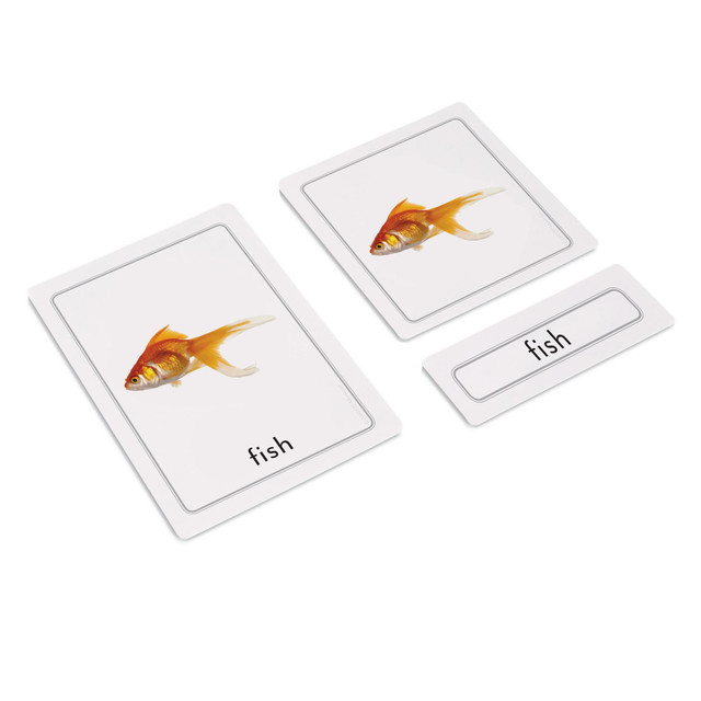 Parts to a Whole | ETC Montessori