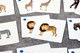 African Animal Matching Cards | Toddler | ETC Montessori