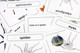 Parts of a Spider 3 Part Cards - ETC Montessori Online