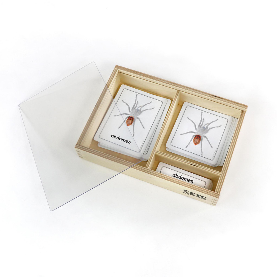 Parts of a Spider 3 Part Cards - ETC Montessori Online