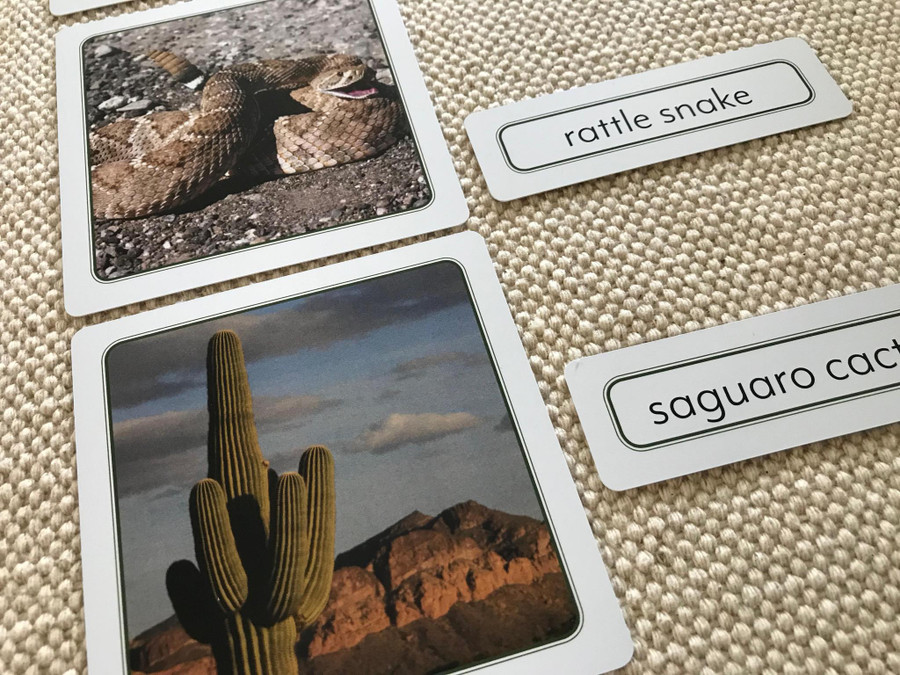 Plants and Animals of the Biomes - ETC Montessori Online