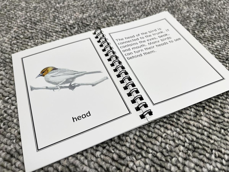 External Characteristics of Vertebrates | ETC Montessori