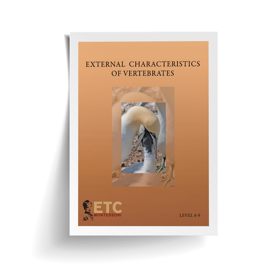 External Characteristics of Vertebrates | ETC Montessori