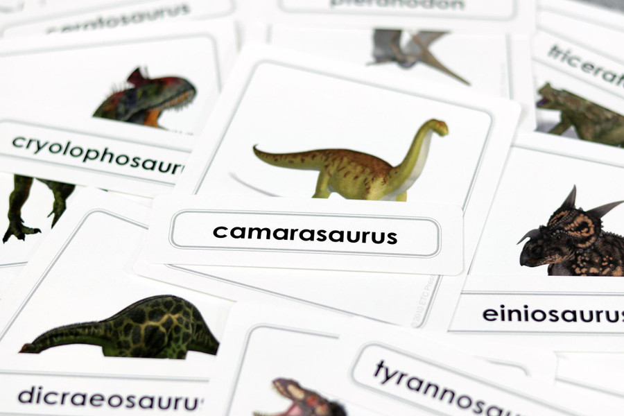Dinosaurs 3 Part Cards - ETC Montessori Online