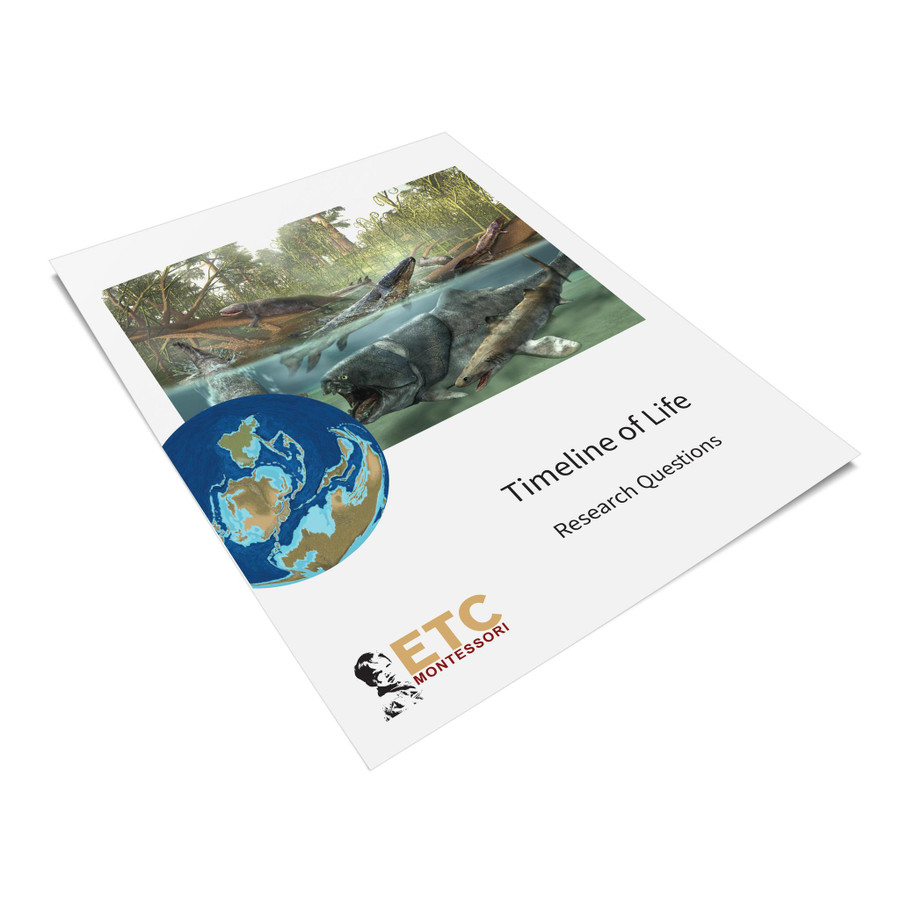 Timeline of Life Research Cards | ETC Montessori