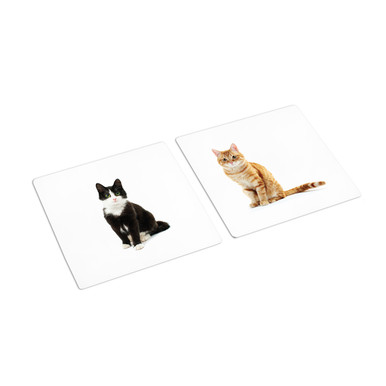 Same Animal Different Color Sorting Cards | Toddler | ETC Montessori