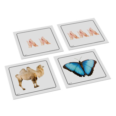 Syllable Sorting | ETC Montessori