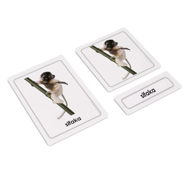African Animals 3 Part Cards - ETC Montessori Online