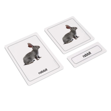 Domestic Animals 3 Part Cards - ETC Montessori Online