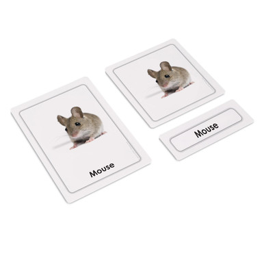 Mammals 3 Part Cards - ETC Montessori Online