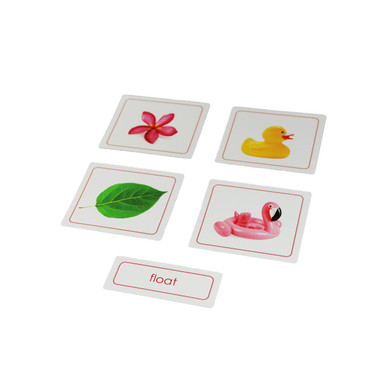 Sink and Float Sorting Activity