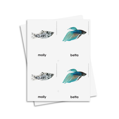 Fish 3 Part Cards - Homeschool Edition - ETC Montessori Online
