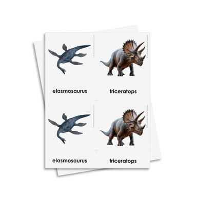 Dinosaurs 3 Part Cards - Homeschool Edition - ETC Montessori Online