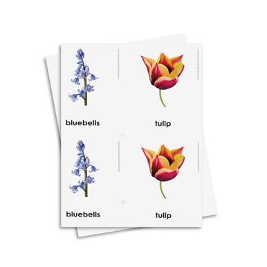 Flowers 3 Part Cards - Digital Printable - ETC Montessori Online