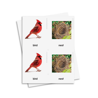 Animal Homes 3 Part Cards - Homeschool Edition - ETC Montessori Online