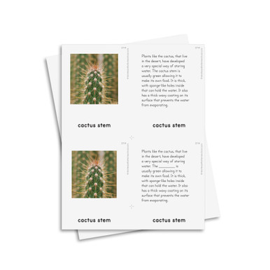 Botany Level 9-12: Stem - Homeschool Edition | ETC Montessori