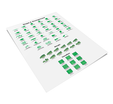 Leaf Shape Study Chart | ETC Montessori