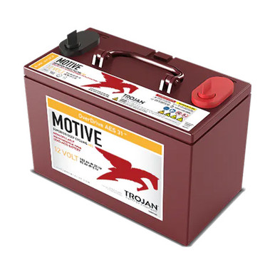 TENNANT T500 BATTERY