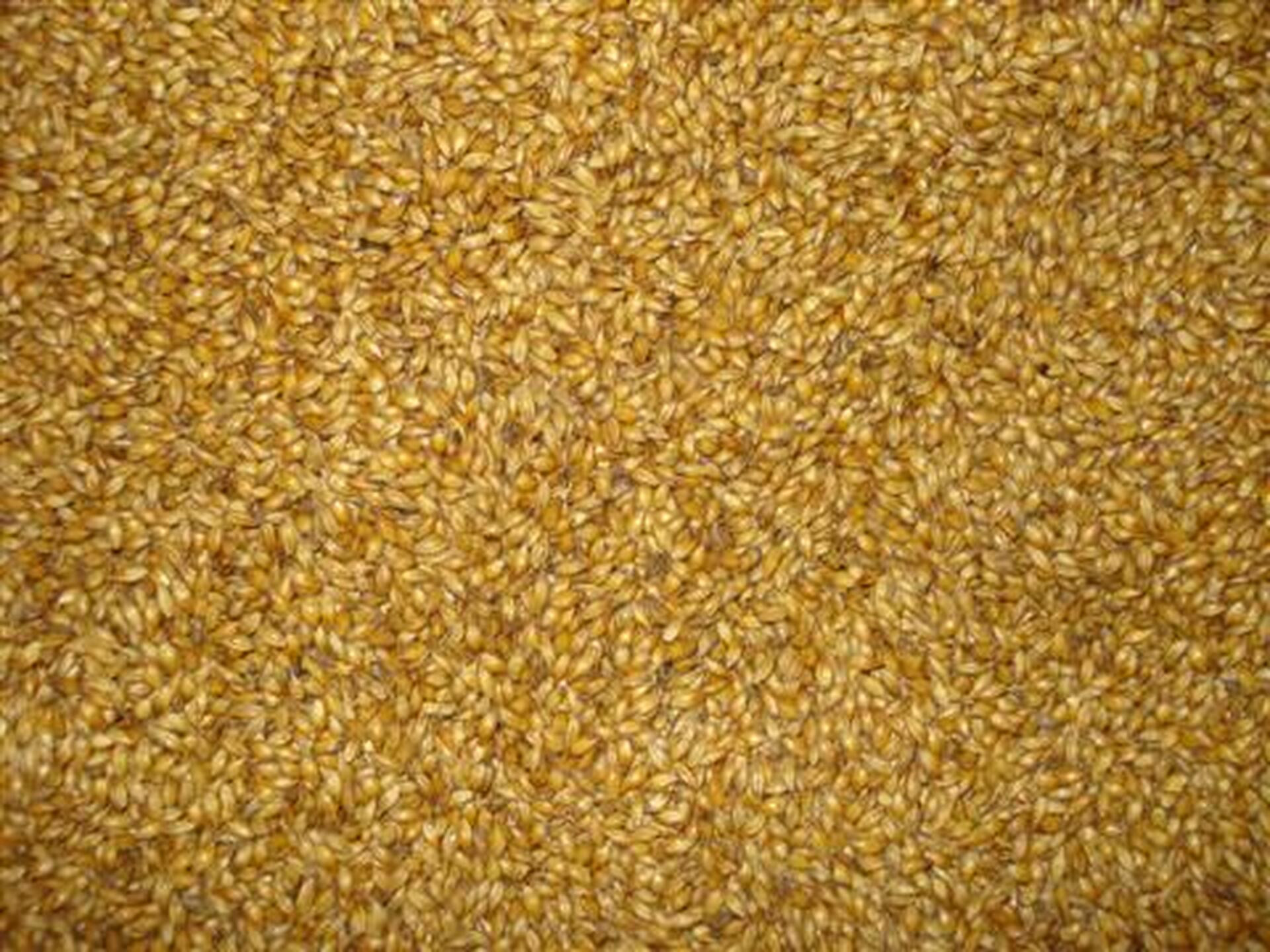 Grains - Roasted and Toasted Malts - Page 1 - Farmhouse Brewing Supply
