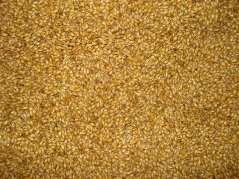 Brewing Ingredients - Brewing Grains - Roasted & Toasted Malts - Page 1 ...