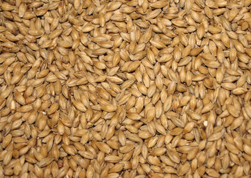 Brewing Ingredients - Brewing Grains - Page 1 - Farmhouse Brewing Supply
