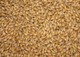 Brewing Ingredients - Brewing Grains - Base Malt - Page 1 - Farmhouse ...